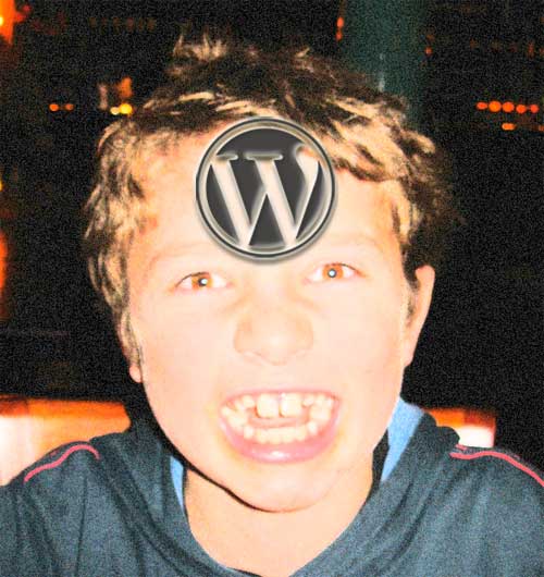How To Create A TwentySixteen Child Theme In WordPress